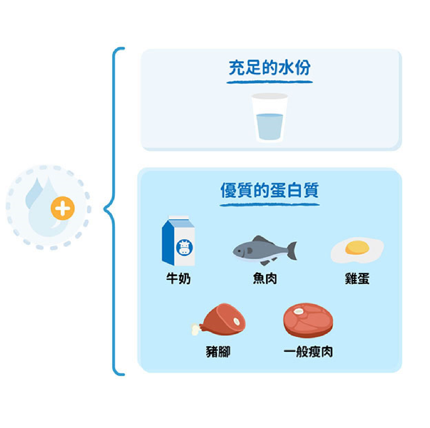 促進泌乳的發奶食物 雀巢母嬰營養